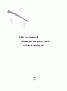 Redneck Haiku : Double-Wide Edition - Santa Monica Press