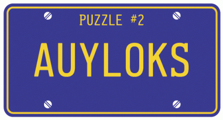 Vanity PL8 Puzzles : A Puzzle Book Where You Solve the Vanity Plates ...